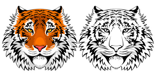 Tiger Face Vector Free Download