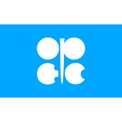 Flag of opec organization the petroleum Royalty Free Vector