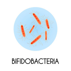 Realistic bacteria Royalty Free Vector Image - VectorStock