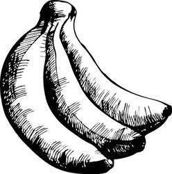Banana Vector Images (over 86,000)
