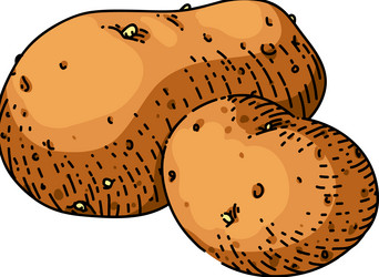 Potato cut cartoon Royalty Free Vector Image - VectorStock