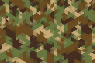 Triangle Camouflage Vector Images (over 2,100)