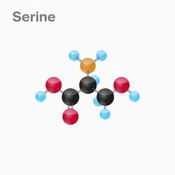Serine Vector Images (over 100)