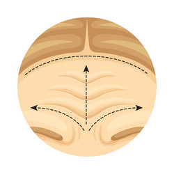 Forehead Vector Images (over 7,000)