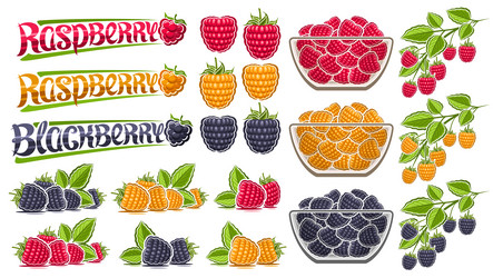 Fruit Bowl Logo Vector Images (over 1,700)
