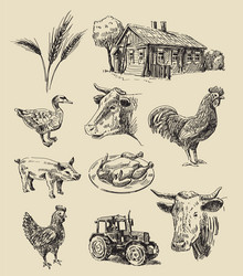 Farm Animals & Birds Sketch Royalty Free Vector Image