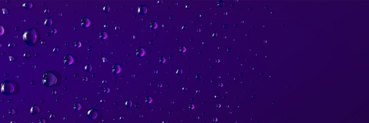 Condensation water drops on purple background Vector Image