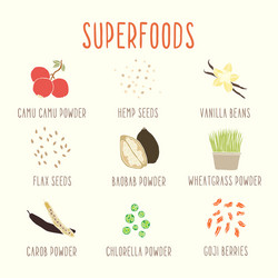 Set of superfoods part 2 Royalty Free Vector Image