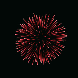 Beautiful red firework bright firework isolated Vector Image