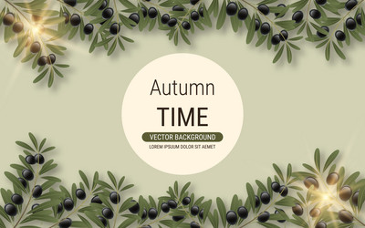 Olive tree branch Royalty Free Vector Image - VectorStock