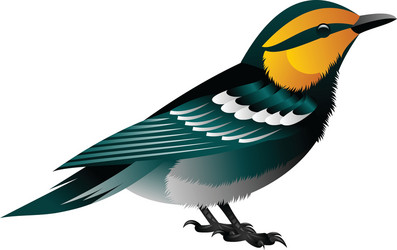 Bird Royalty Free Vector Image - VectorStock