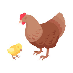 Hen Vector Images (over 40,000)