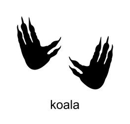 Koala Paws