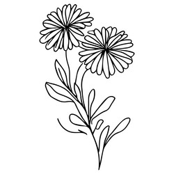 Minimalist simple aster flower tattoo Royalty Free Vector