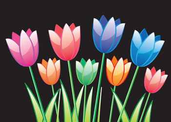 Elegant Spring Tulips Royalty Free Vector Image