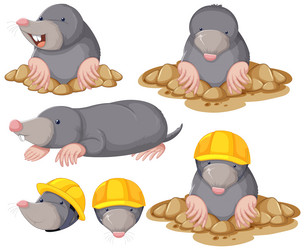 Set of moles cartoon character Royalty Free Vector Image