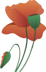 Poppy Vector Images (over 22,000)