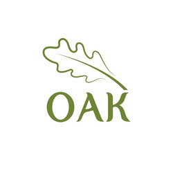 Oak science acorns and leaf Royalty Free Vector Image