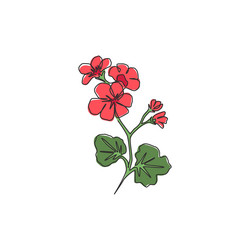 One single line drawing beauty fresh geranium Vector Image