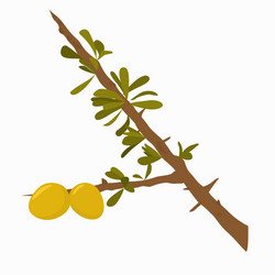 Argan Branch Tree Vector Images (over 240)