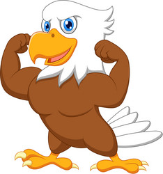 Cartoon eagles collection set Royalty Free Vector Image