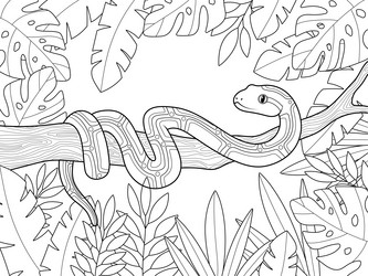 Boa Constrictor Vector Images (over 200)