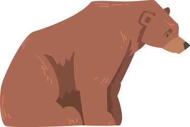 Side view sitting brown bear large wild Royalty Free Vector