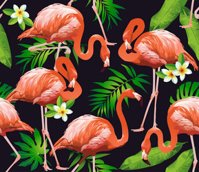Flamingo Vector Images (over 27,000)