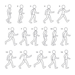Phases of step movements man in walking sequence Vector Image