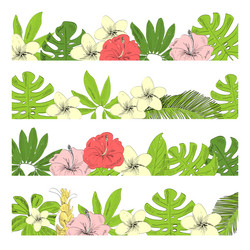 Plumeria Flowers Border Invite Vector Images (over 210)