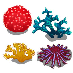 Set of red and golden corals isolated on white Vector Image