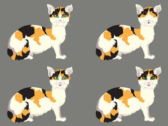 Tortoiseshell Cat Vector Images (37)