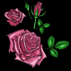 Red roses embroidery Royalty Free Vector Image