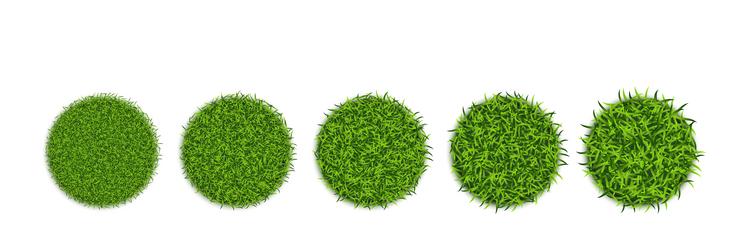Green grass circle frame background grassy round Vector Image