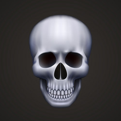 Skull Front Facing Vector Images (over 3,000)