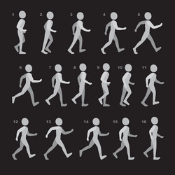 Phases of step movements man in walking sequence Vector Image