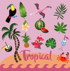Tropical objects and element with flamingo flower Vector Image