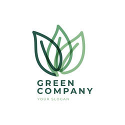 Abstract green leaf line on white background Vector Image