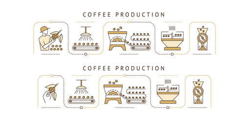 Coffee production process at farm Royalty Free Vector Image