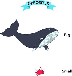 Wordcard for front and back antonyms opposites Vector Image