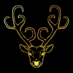 Hand drawn deer head tribal style isolated over Vector Image