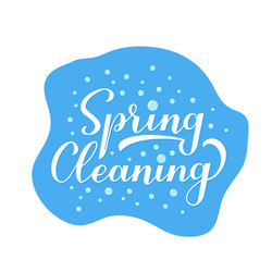Spring cleaning calligraphy hand lettering Vector Image