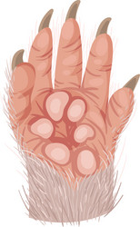 Hamster Footprint Vector Images (over 110)