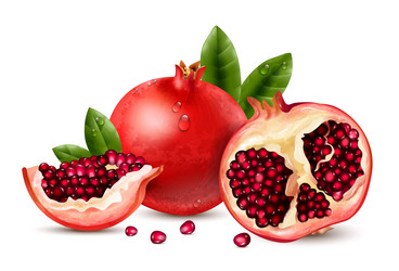Pomegranate Vector Images (over 17,000)