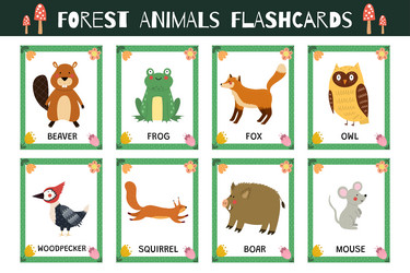 Forest animals flashcards collection for kids Vector Image