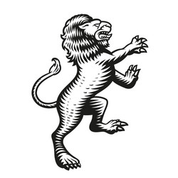 Lion Engraving Vector Images (over 1,100)