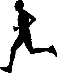 Road Runner Vector Images (over 3,200)