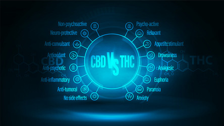 Cbd vs thc poster with comparison Royalty Free Vector Image