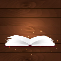 Book poster open with mystic bright light Vector Image