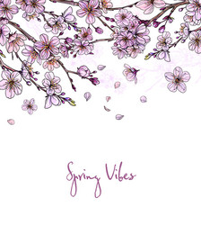 Sakura in bloom round banner with flowers Vector Image